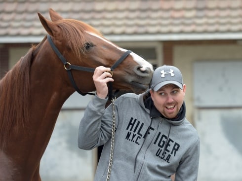 Daniel Redén inför Prix d'Amerique 2017 | Allt Om Trav