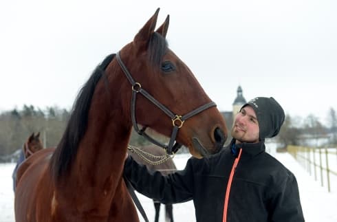 Inför V75: Två övertygande segrar i V86 | Allt Om Trav