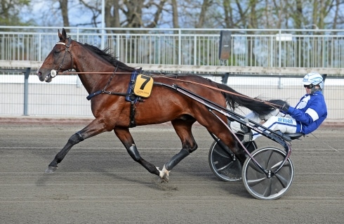 Frode Hamre inför V75 BJERKE | Allt Om Trav
