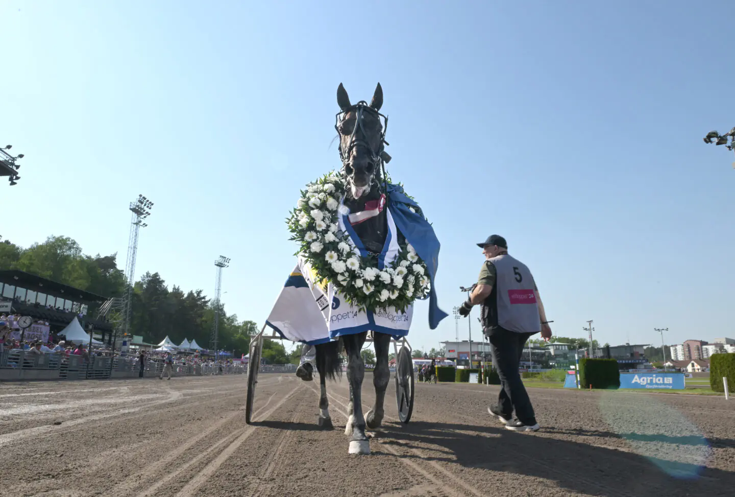 Sweden Cup: Missle Hill – knatten med sju liv | Allt Om Trav
