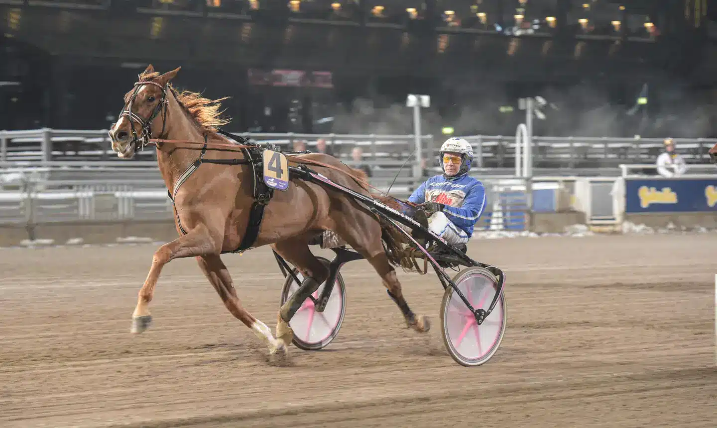 Inför V75 (jackpot): Allt väl med segermaskinen – ”Känns jättefin ...