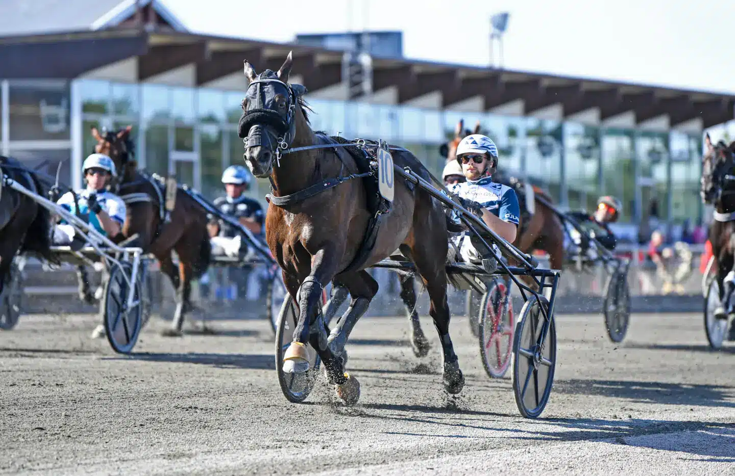 Ingen start för Oracle Tile i Åby World Grand Prix | Allt Om Trav